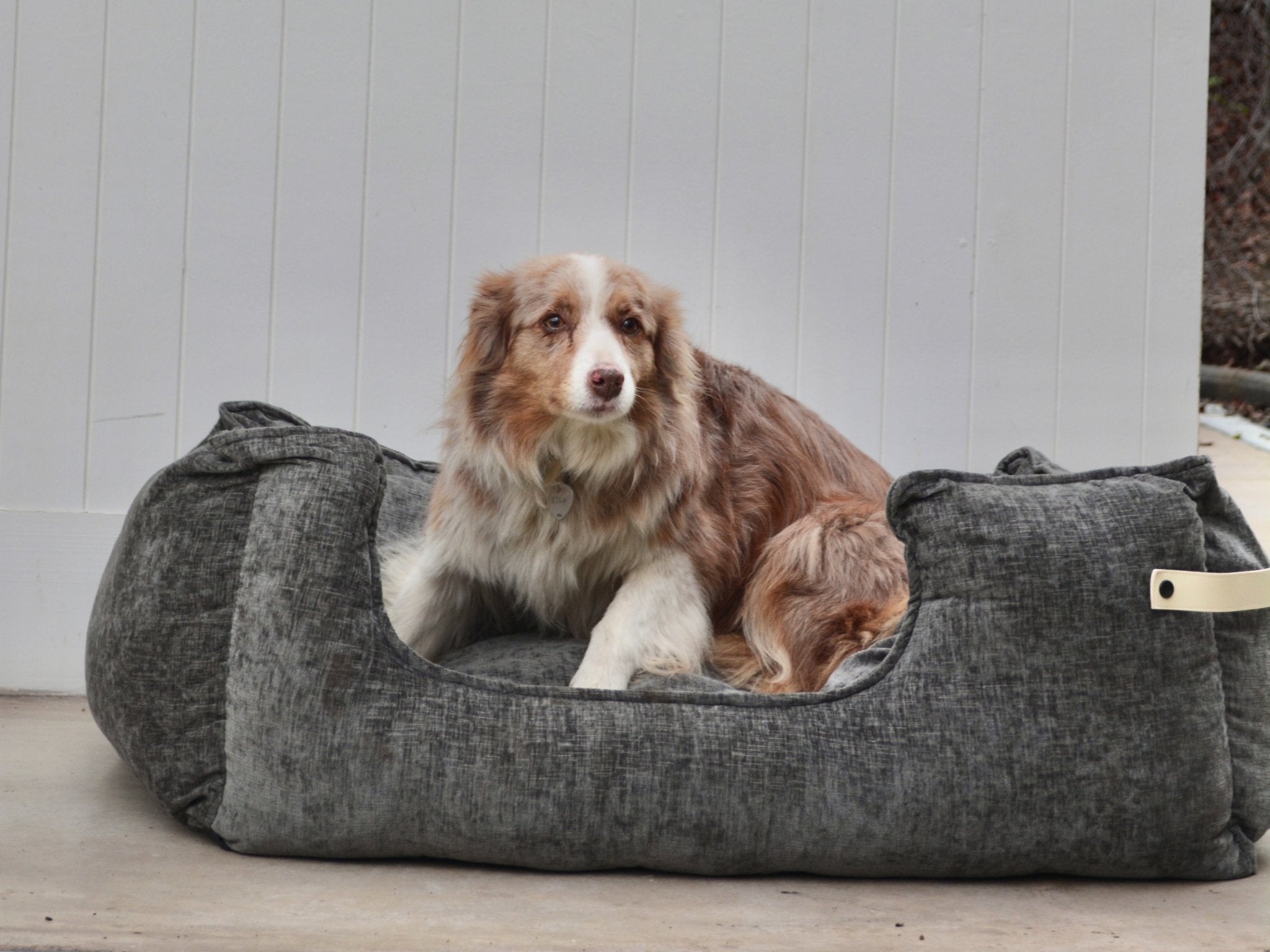 Cama para Perro Lavable Ultra Relleno Premium Diana – Animal Republic Chile