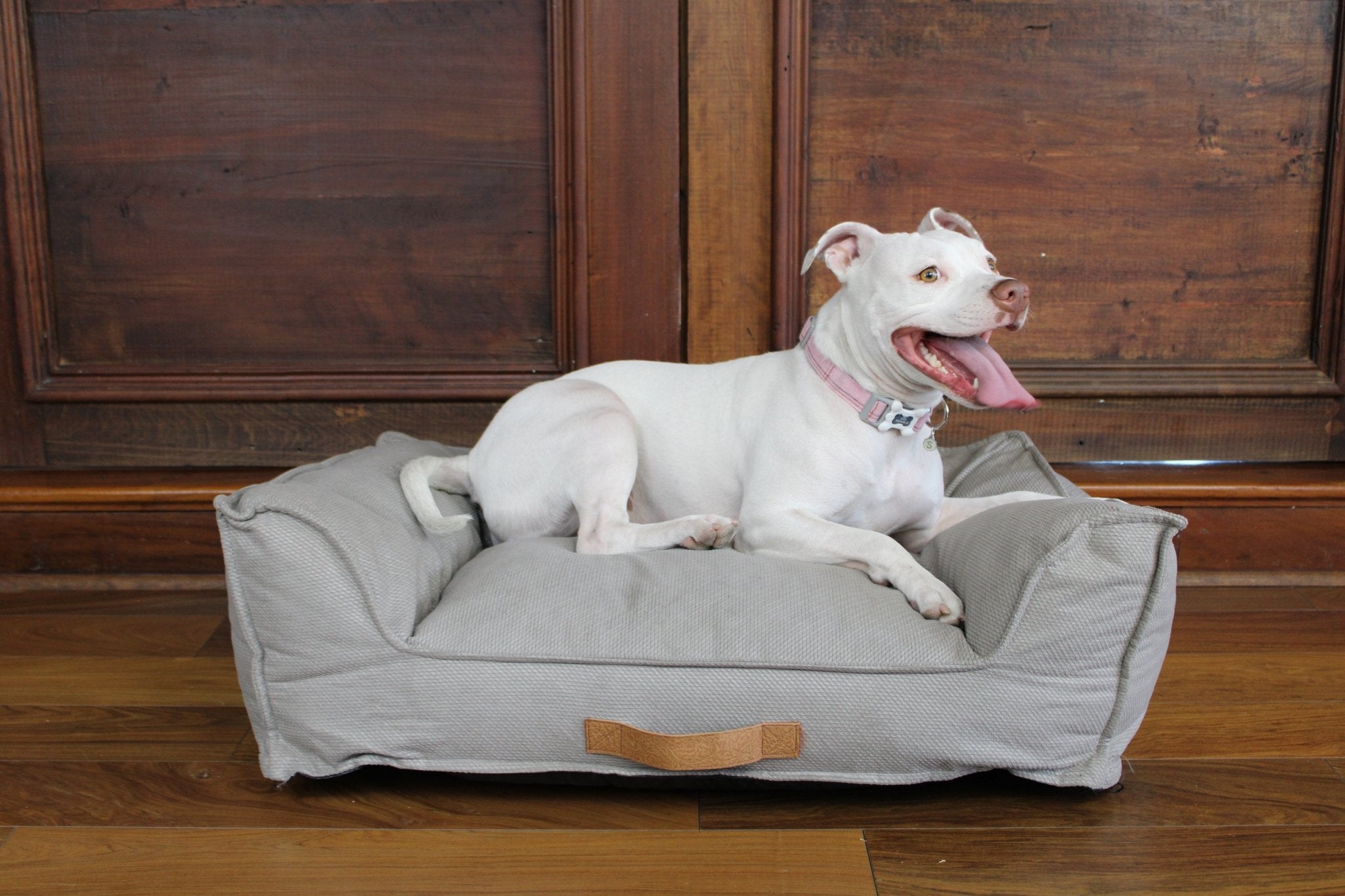 Cama para Perro Lavable y Resistente Ultra Alcolchada - Harry – Animal ...